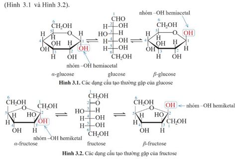 Vì Sao Glucose Và Fructose Thuộc Loại Hợp Chất Polyhydroxy Carbonyl