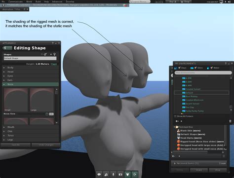 Bug 228823 Incorrect Calculation Of Vertex Normals For Appearance Sliders With Rigged Meshes