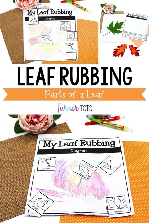 Fall Leaf Activities For Preschoolers To Spark Fun And Creativity Fall
