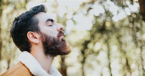 턱수염을 기른 남자가 숲 속에 서 있다 사진 Unsplash의 느끼다 이미지