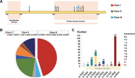 Braf Mutation Testing Methods At Liza Tubbs Blog