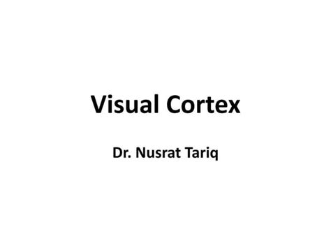 Visual Cortex Pptx