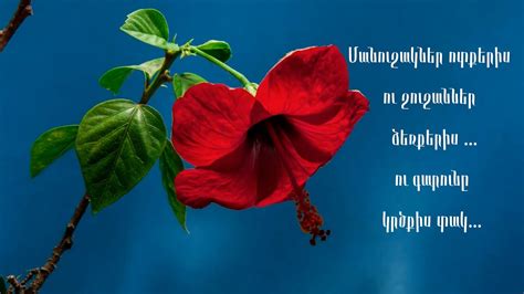 Շնորհավոր գարնան առաջին օր Youtube