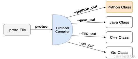 【启程golang之旅】深入理解 Protocol Buffers 及其应用golang Protocol Buffers Csdn博客
