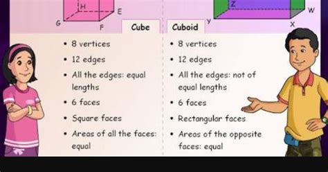 Red Difference Between Cube And Cuboid