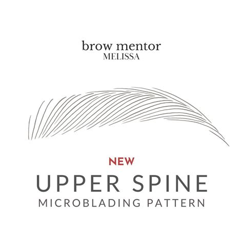 Simple Brow Microblading Pattern Step By Step Basic Microblading Structure Beginner Eyebrow