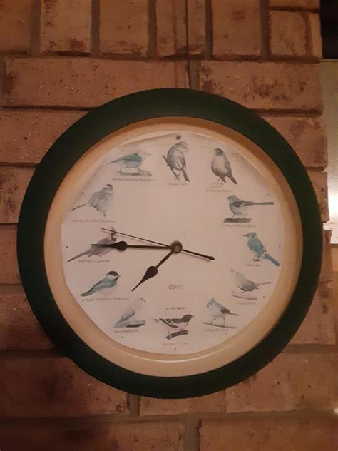 Bird Clock