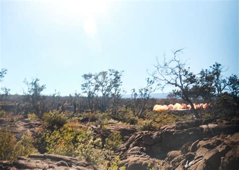 Dvids Images 3d Lct Company Attacks [image 8 Of 8]