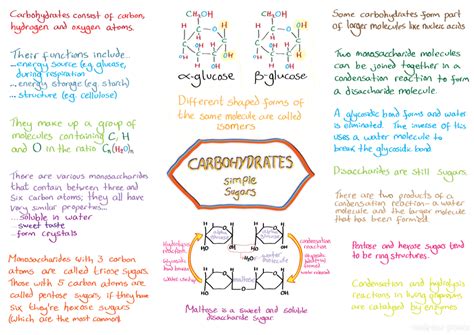 Biomolecules Color By Number Quizlet At Jenny Collier Blog