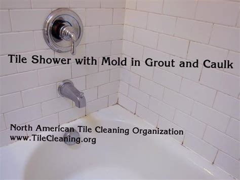 How To Get Rid Of Mold In Shower Orange Mold