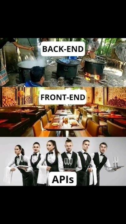 Frontend Vs Backend Developers Shorts Ytshorts Funny Codingmemes Youtube