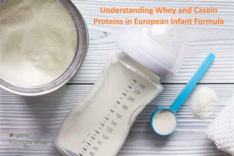 Understanding Whey And Casein Proteins In European Infant Formula