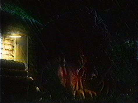 Rule 34 3d 43 Analog Horror Analog Porn Animal Genitalia Animal