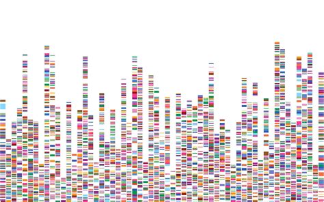 Premium Vector Dna Test Infographic Genome Sequence Map