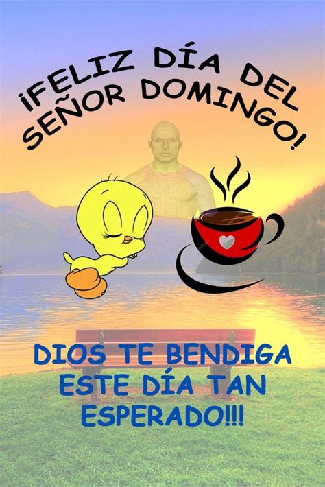 Feliz Domingo Piolin Dios Te Bendiga Piolin Enamorado Feliz Domingo