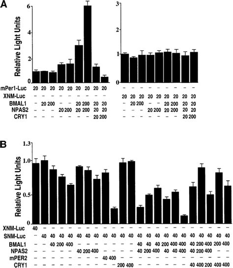 Transient Transfection Assays Monitoring The Effects Of Download