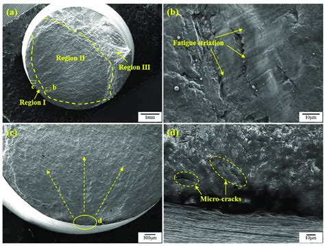 A Displays The Macroscopic Fracture Morphology Of The Hfh Sample Bc Download Scientific
