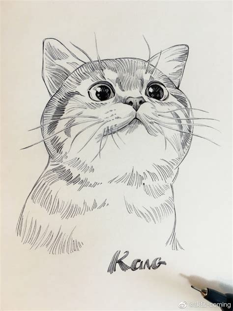 Guide To Drawing Cats Kittens With Step By Step Instructional Tutorial Lesson How To Draw Step