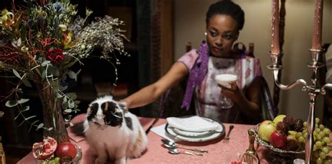 The Cat Drinking Tea Africa Proverbs