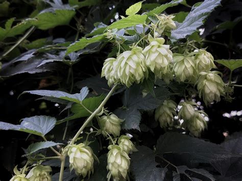 ВПС 13 Photos And Videos Collected By Ally Ross