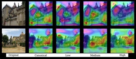Example Of Vgg 19 Like Experts Different Feature Activation Maps After