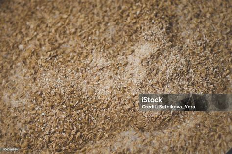 Wort 준비에 온수 물으로 가공 된 맥 아 곡물의 Mashing 과정에서 곡물 보 리 창백한 맥 아에서 양조 하는 크 래 프 트 맥주 맥주 또는 필스너 몰 트에서 라