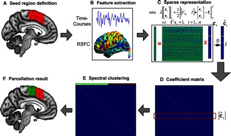Robust Brain Parcellation Using Sparse Representation On Resting State Fmri Abstract Europe Pmc
