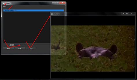 Python Нужно отобразить камеру в отдельном окне Stack Overflow на русском