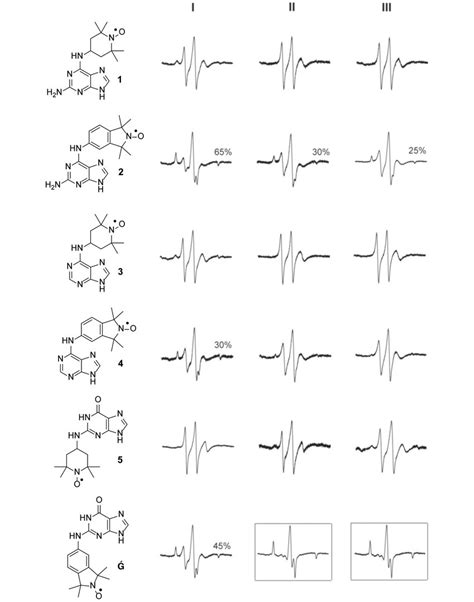 Epr Spectra Of Spin Labels Ǵ And 1 5 In The Presence Of Dna Motifs I Download Scientific