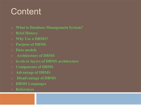 Database Management System Ppt PPTX
