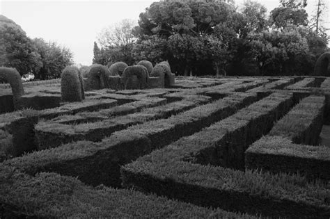 navigating the labyrinth