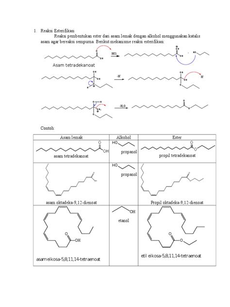 Reaksi Esterifikasi Pdf