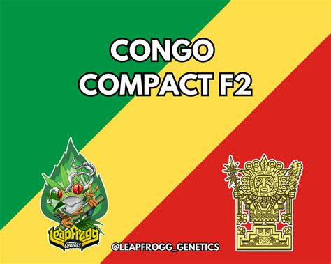 Congo Compact F2 African Broadleaf Heirloom Landrace