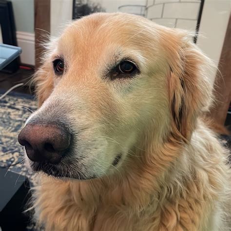 freenas 11 3 u1 now available freenas pavlovs ky