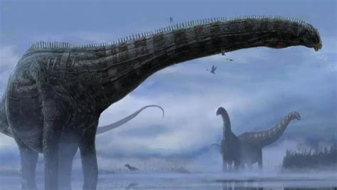 Jurassic Park Dinosaur Dna Mosquitoes May Carry Clues