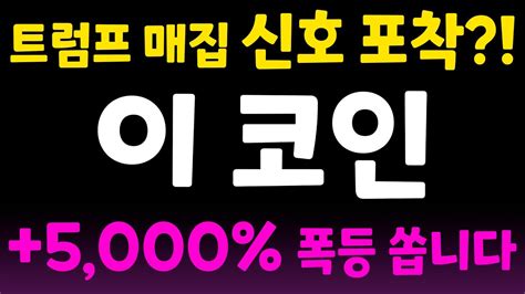 코인 분석 및 전망 늦어도 이번주 안에 폭등 쏠 미친 코인 발견 이 코인 파이코인 넘어 단기로 3000 대폭등 쏩니다 이미 눈치 빠른 세력들은 매집