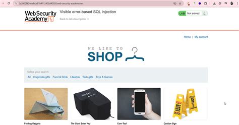 Day 13 Visible Error Based Sql Injection — Zero To Hero Blind