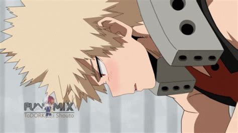 My Hero Academia Mha  My Hero Academia Mha Boku No Hero Academia