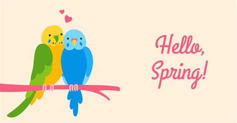 열대 앵무새 만화 엽서 봄 이국적인 새 포스터 배너 배경 템플릿 초대장 가리기에 대한 스톡 벡터 아트 및 기타 이미지 가리기 광고 귀여운 Istock