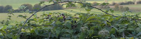 Bookstack Release V2210 · Bookstack