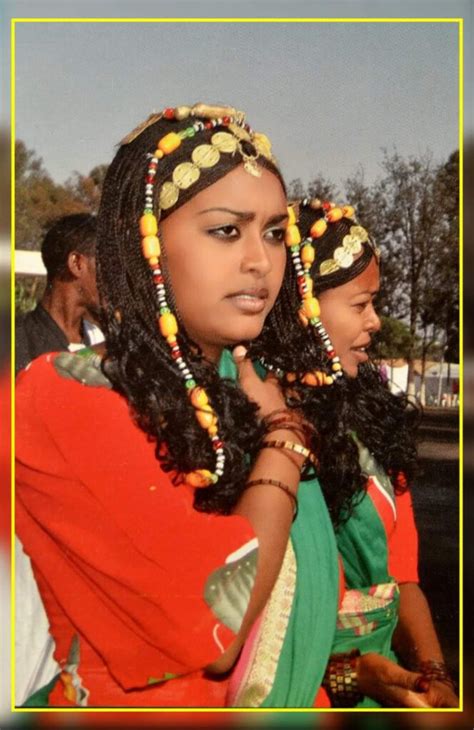 Eritrea Ethiopia Conflict And Resolution Part Xi Ecss Eritrean