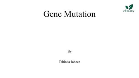 Gene Mutation Ppt
