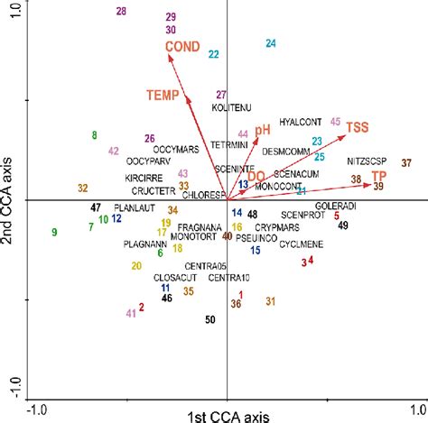 The Composition Of Phytoplankton Assemblages And Environmental Factors Download Scientific