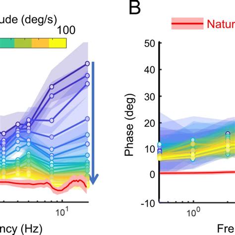 Vestibular Thalamocortical Neurons Display Nonlinear Responses To Download Scientific Diagram