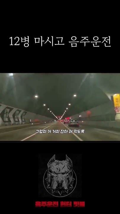 김포 구래동 소주 12병 마시고 고속도로 만취 음주운전 범죄자 공개 합니다 Shorts 음주운전 경찰 도주 Youtube