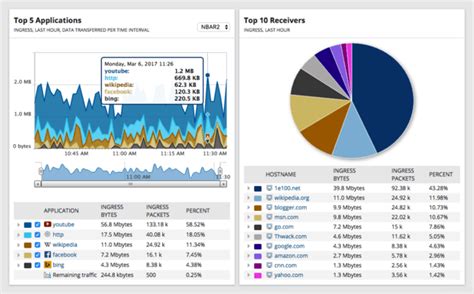 2 Multipurpose Netflow Analysis Tools