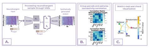 Conditional Variational Autoencoder For Functional Connectivity