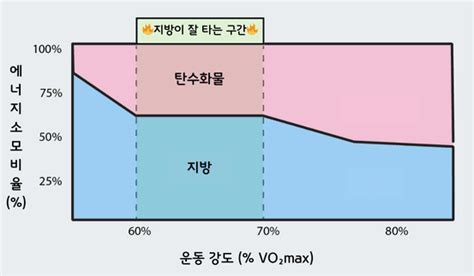 채찍단 다이어트 계산기 다이어트를 위한 칼로리 계산기