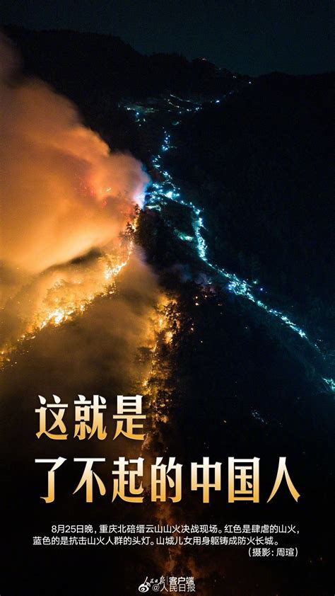 扑灭重庆山火的，是怎样一种“英雄气”？ 青报网 青岛日报官网