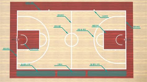 농구장 농구장 규격 농구코트 규격 체육시설 정보 지식공유 네이버 블로그